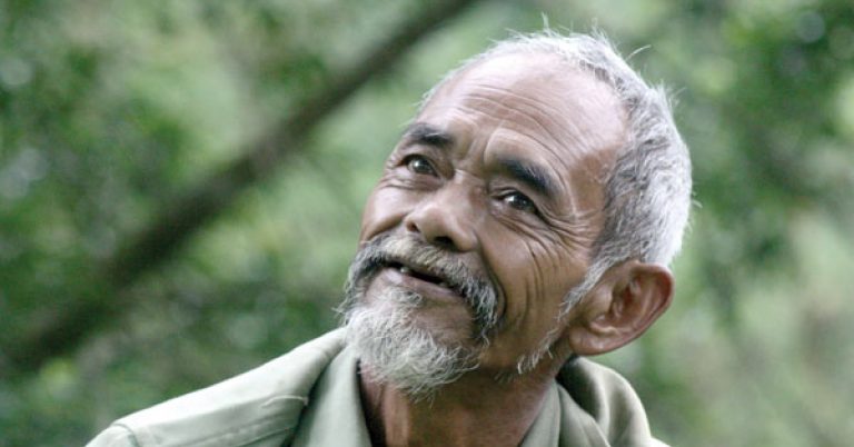 Rebirth of a Forest: 25 Years of Sadiman’s Trees - Green Network Asia