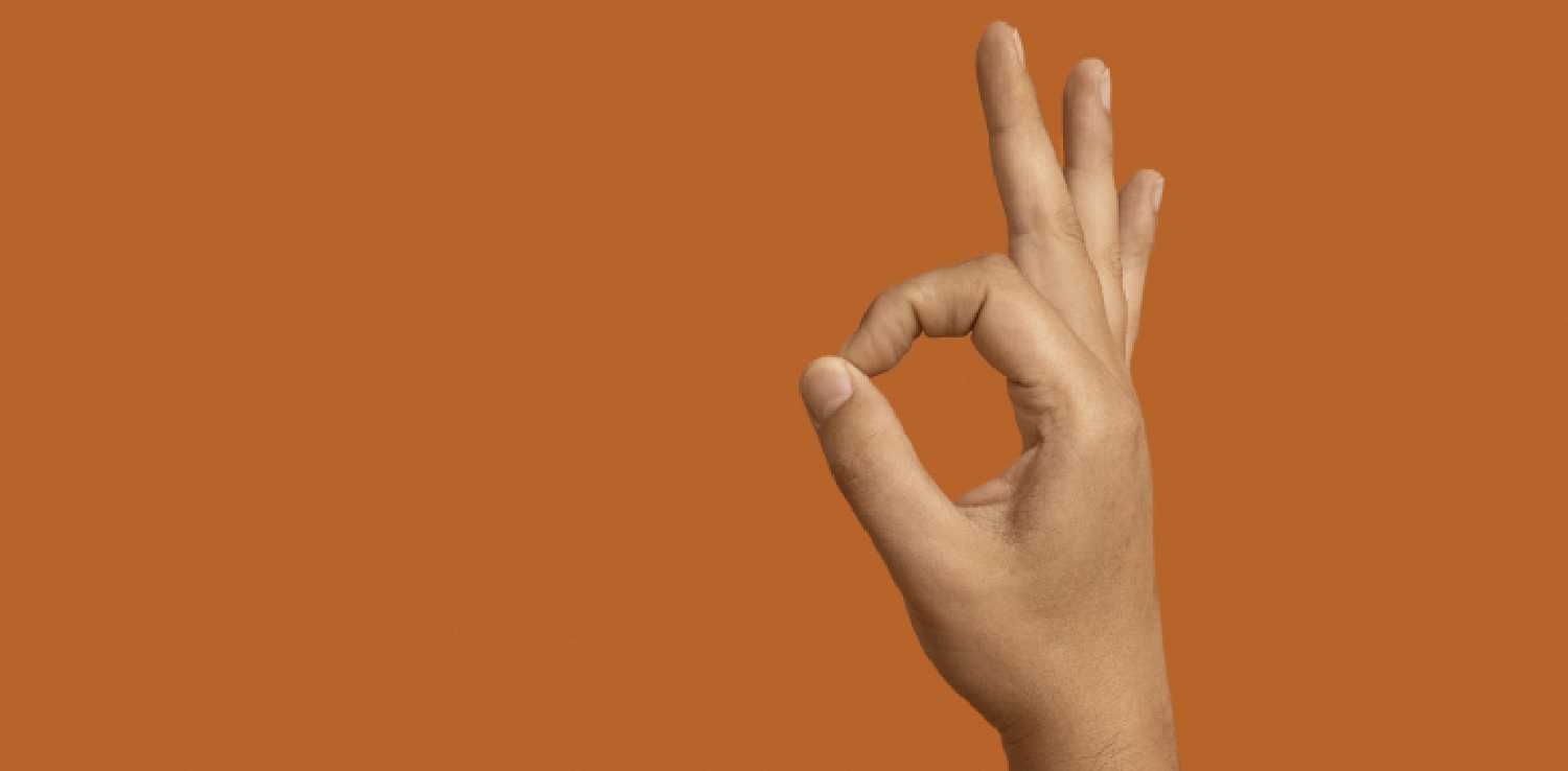 Orange Sign Language Lingvano Learn Sign Language On The App Store