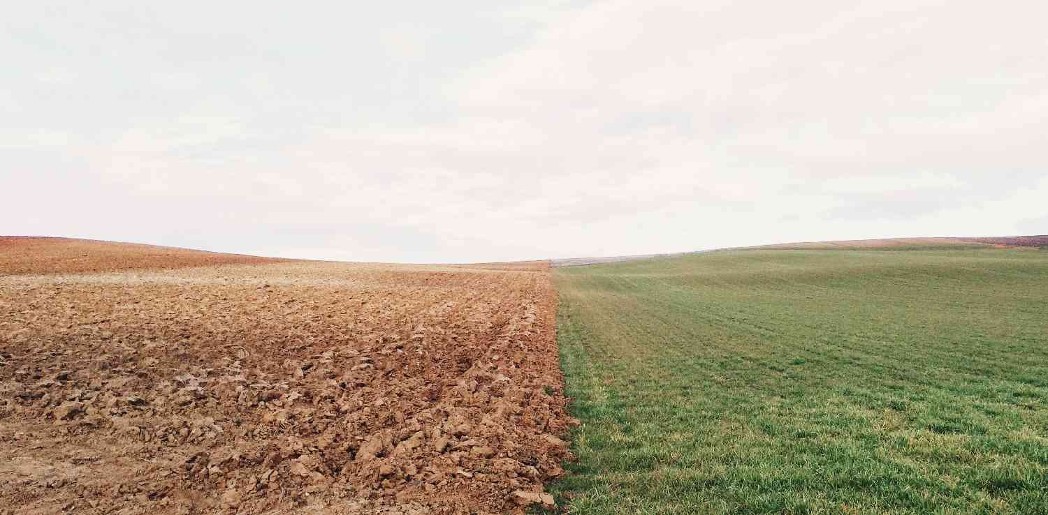 Sustainable Soil Management Guidelines for Better Soil Health - Green ...