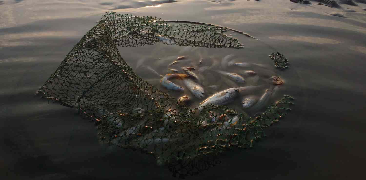 New Study Highlights the Usage Eco-friendly Fishing Gear in Indonesia ...