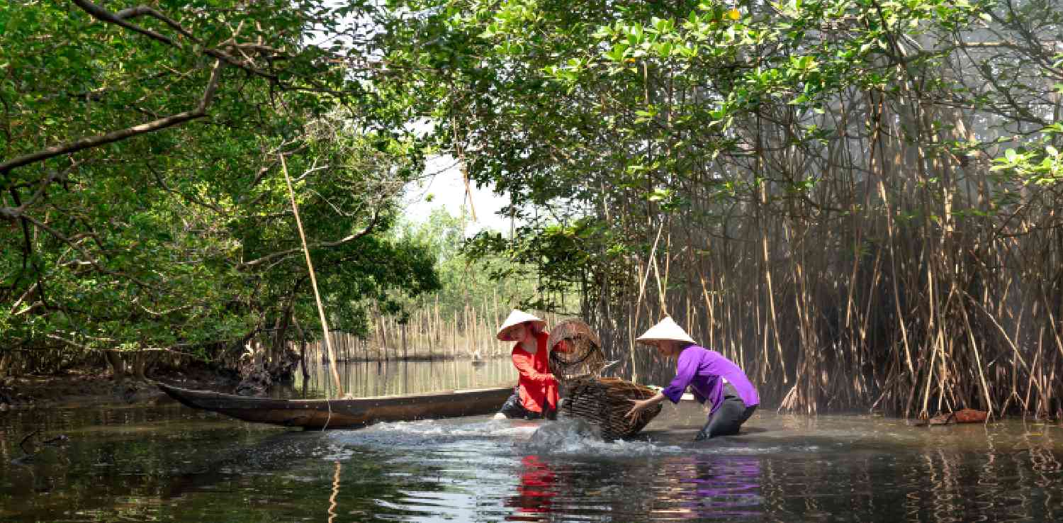 How Does Community-Based Ecological Mangrove Restoration Work? - Green ...