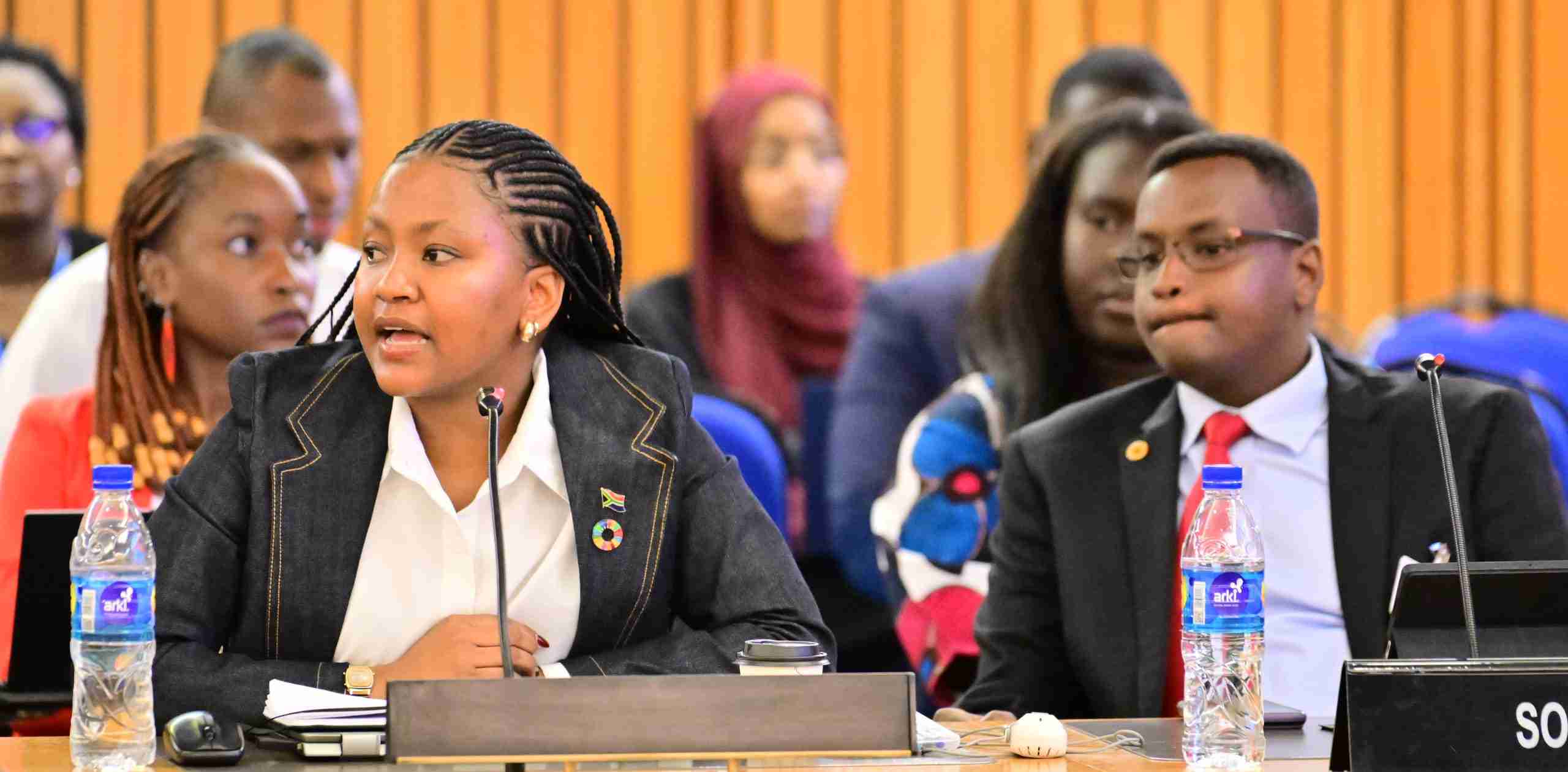 Amplifying African Youth Voices in the Consultative Forum - Green ...