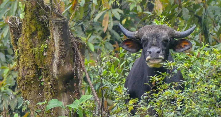 An Ecosystem of Shared Value for Sustainable Development