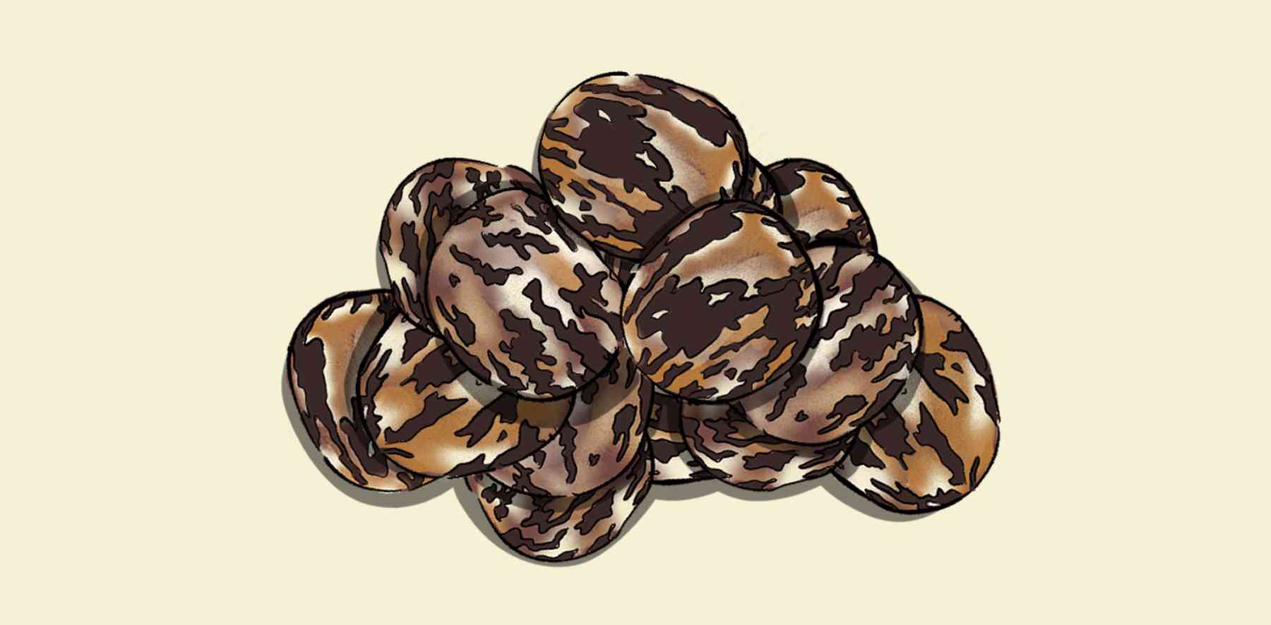 Advancing Biodiesel Production with Rubber Seed Oil in Indonesia ...