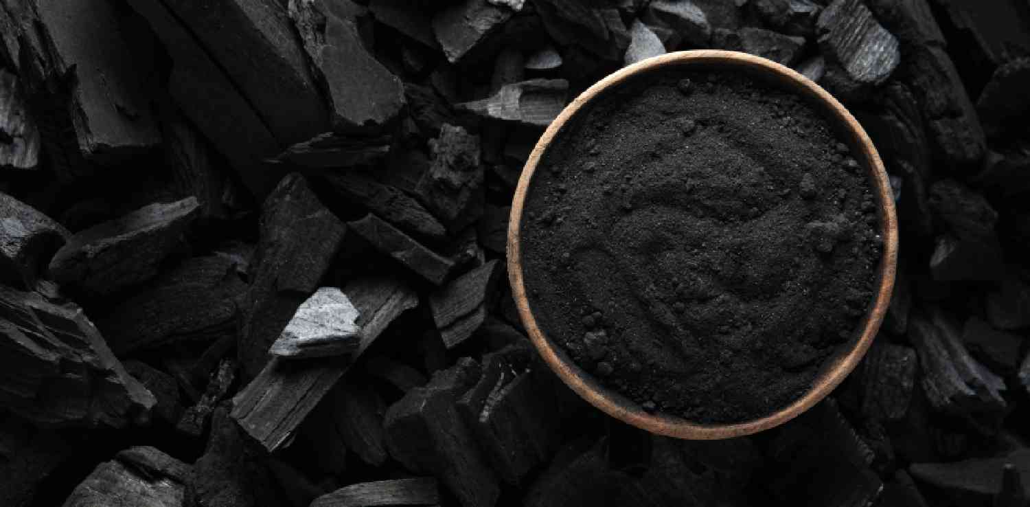 Looking into Biochar as a Bioremediation Agent - Green Network Asia