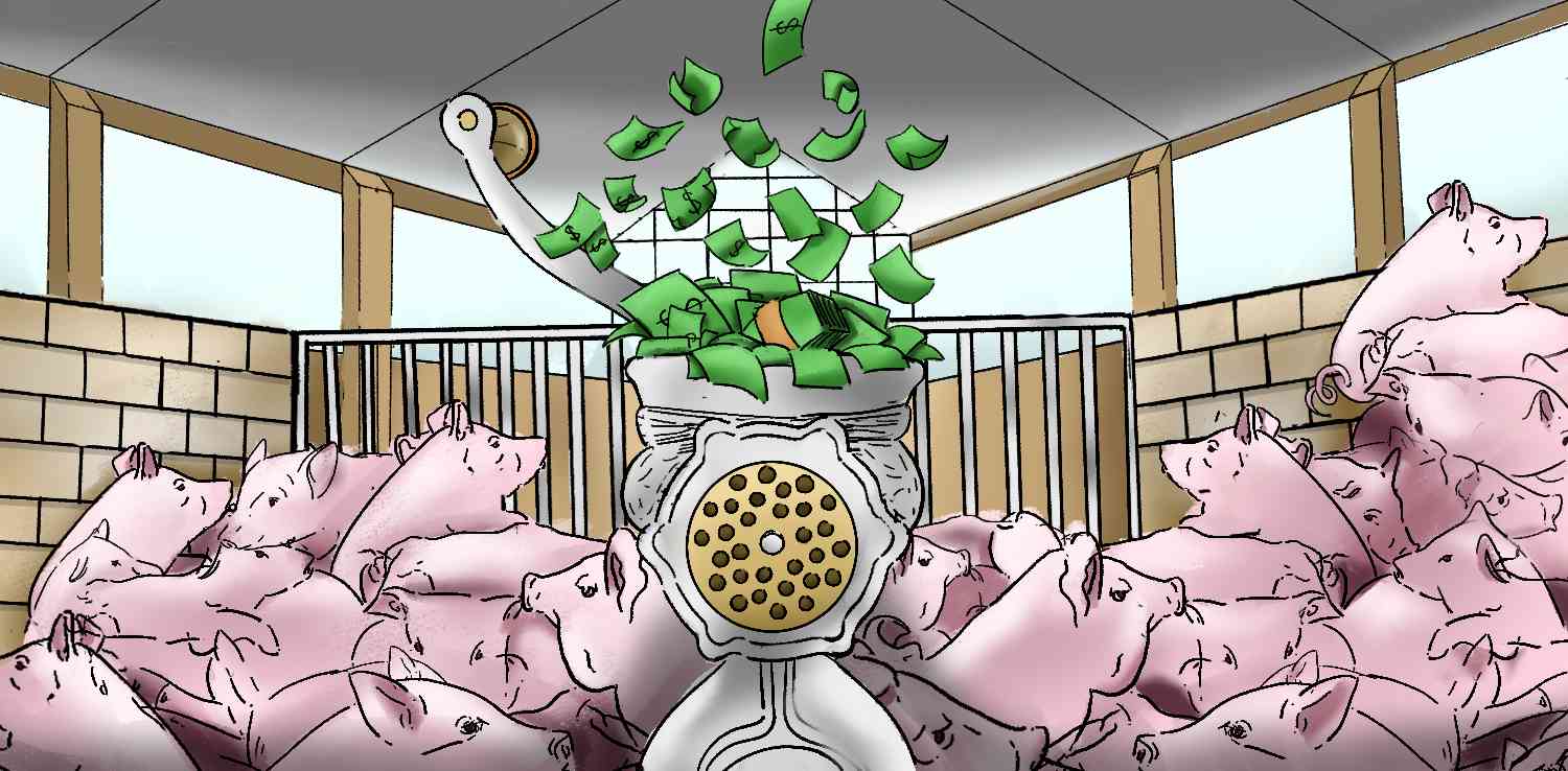 Stop Funding Factory Farming in Vietnam: Pathway to Financing a Just ...